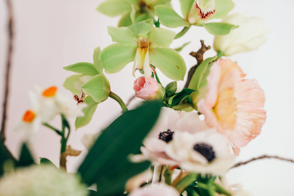 The Beauty of Winter Flowers –Floreat