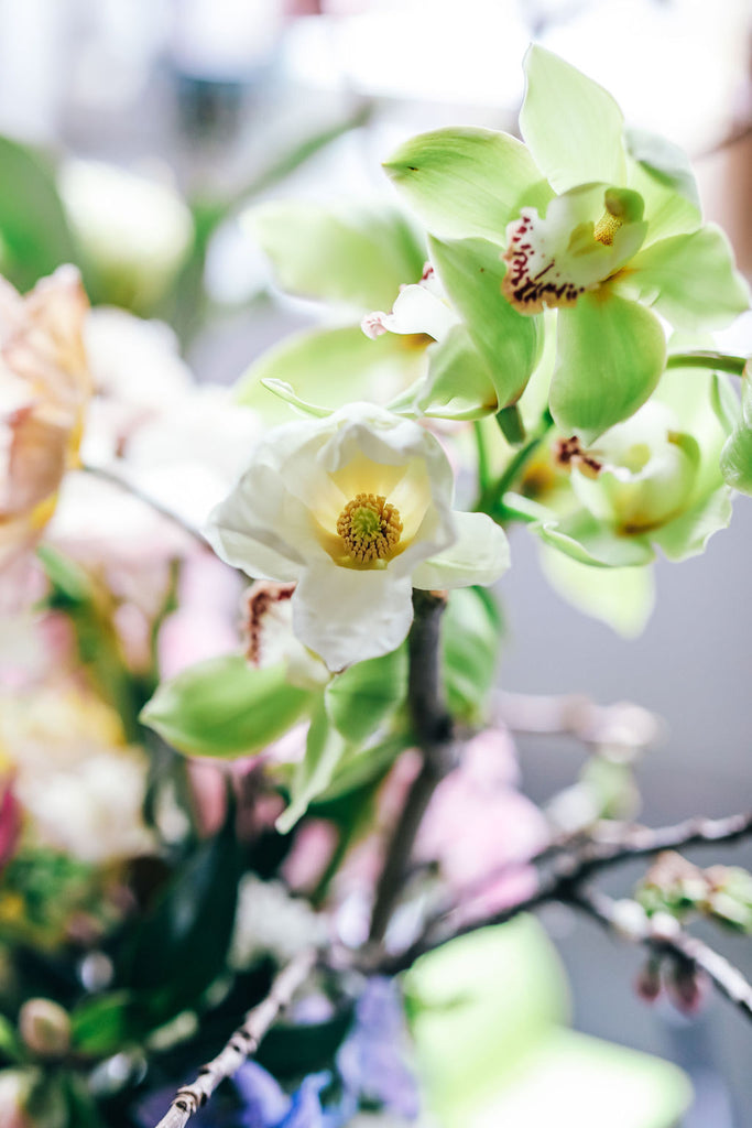 Inside Look at the Flower Market : August 2022 –Floreat