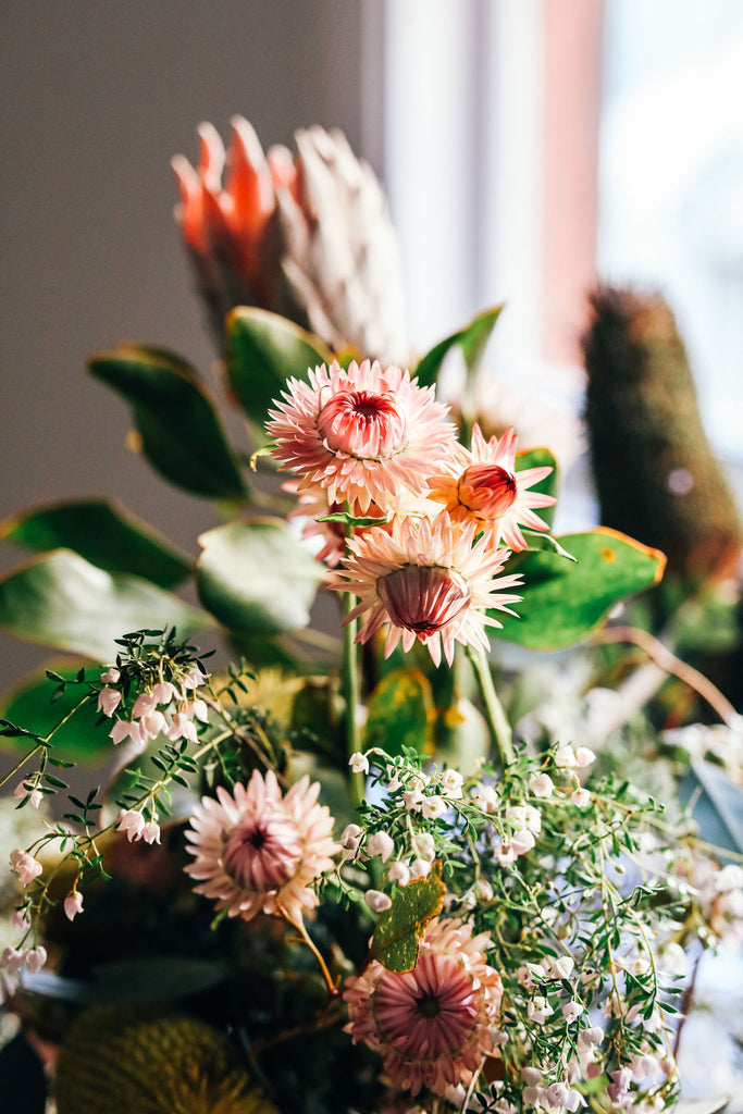 Inside look at the Flower Market : July 2023 –Floreat