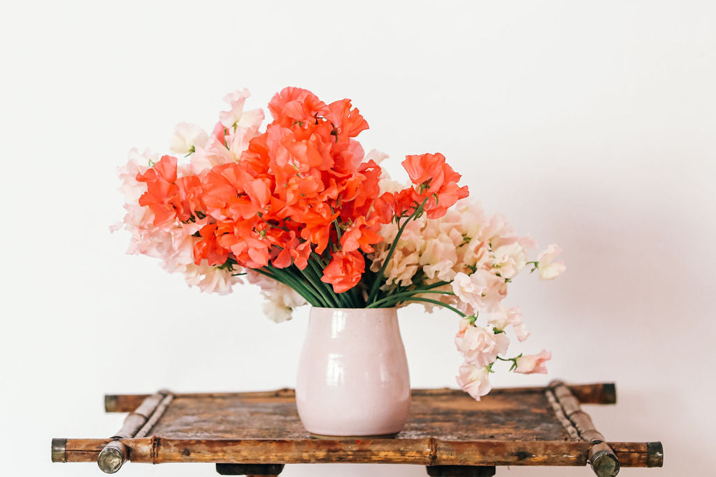 Inside look at the Flower Market : July 2021 –Floreat