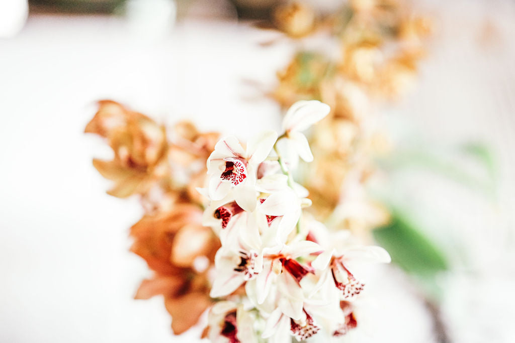Monthly Flower Guide : June 2025 –Floreat