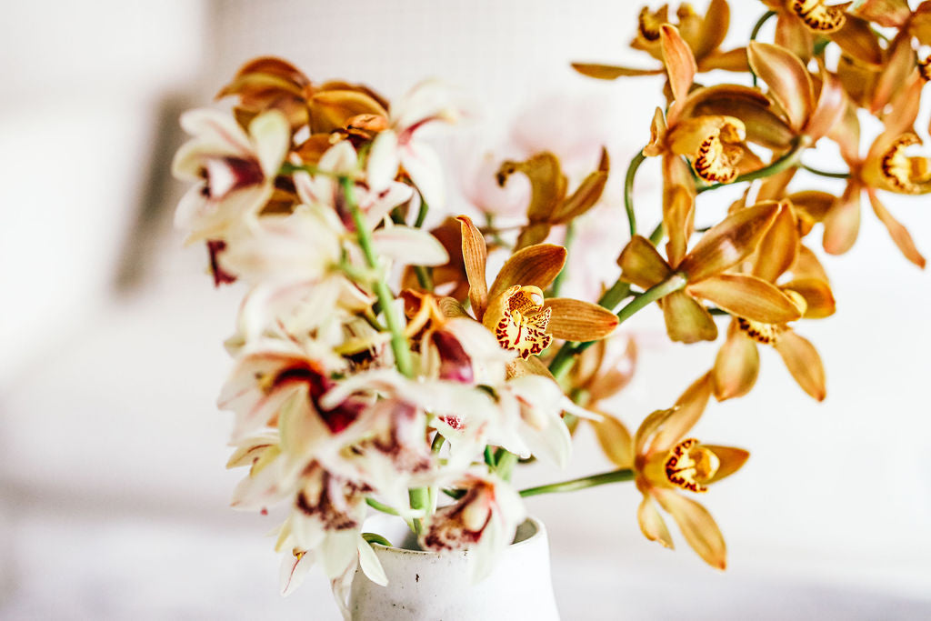 Inside look at the Flower Market : July 2022 –Floreat