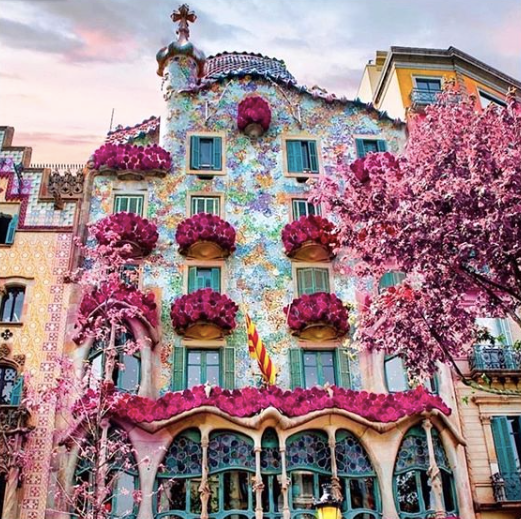 Floreat Loves : Top Ten of the Week : 25 August 2019 –Floreat