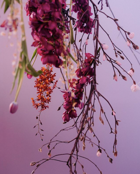 Floreat Loves : Top Ten of the Week : 30 August 2019 –Floreat