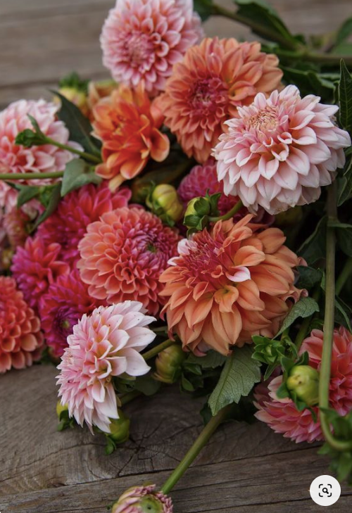 Inside Look at the Flower Markets : January 2021 –Floreat