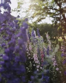 Inside look at the flower market : October 2022 –Floreat