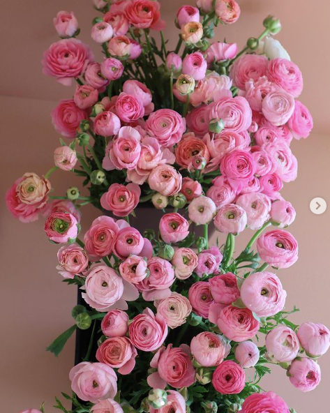 The Rise of the Regional Flower Grower –Floreat