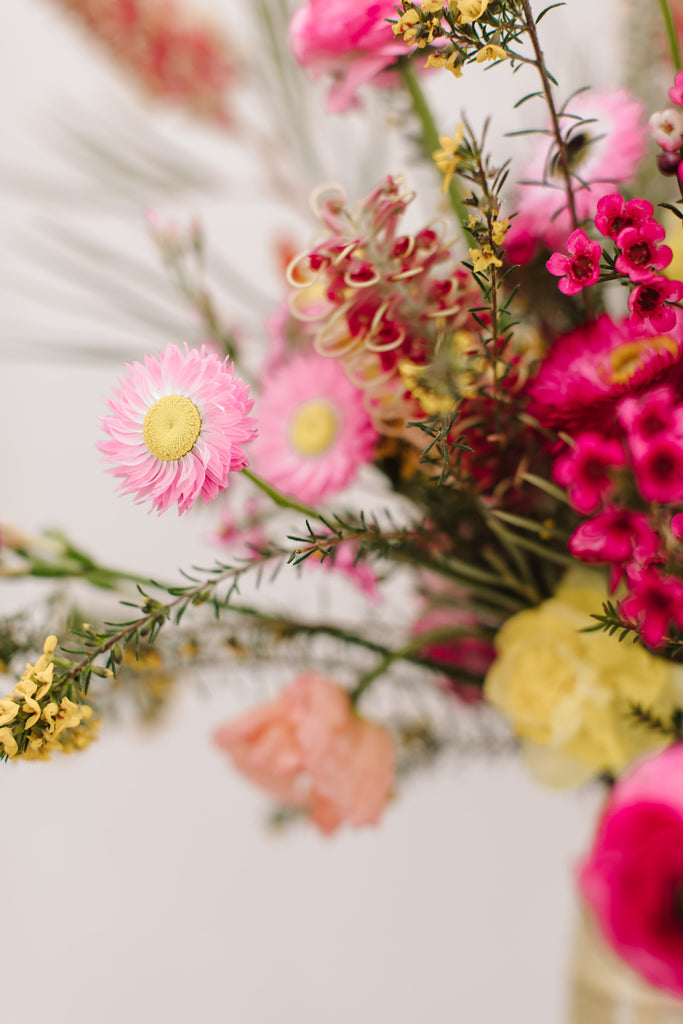 Our guide to Winter Natives –Floreat