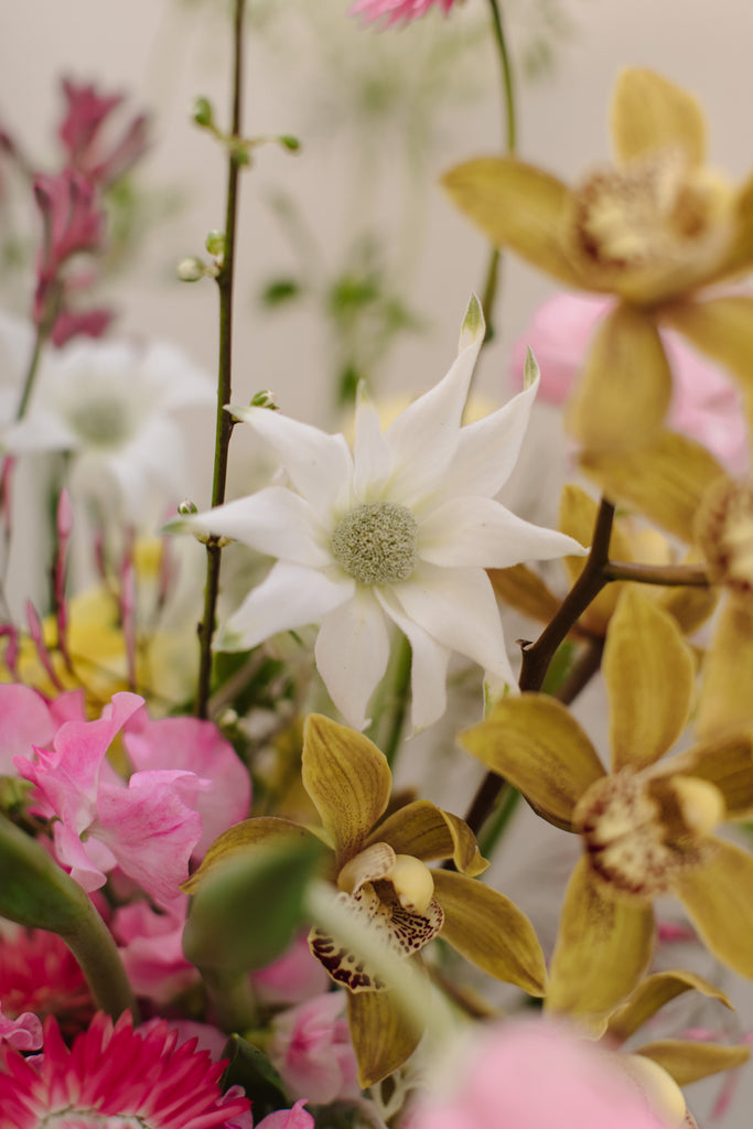 Why locally grown flowers are just better –Floreat