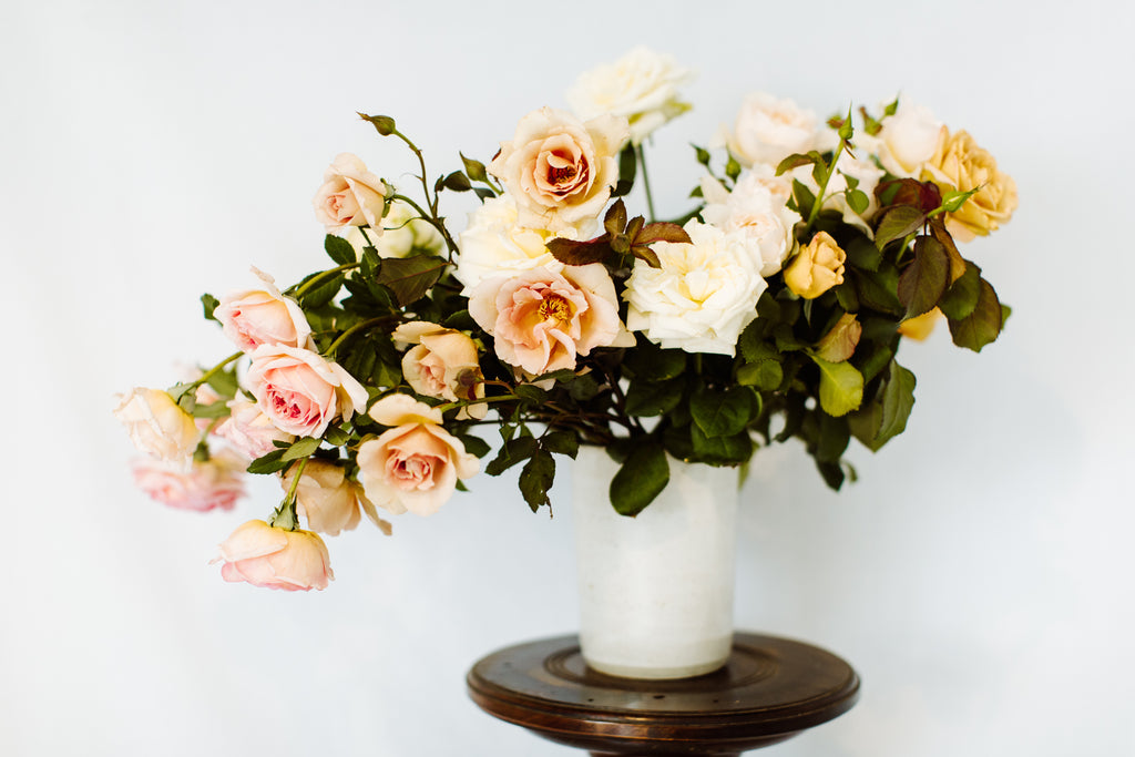 Inside look at the flower market - February 2022 –Floreat