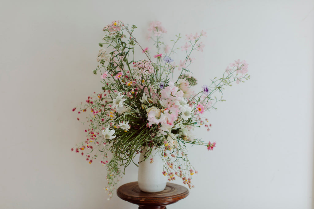 Wildflower Range –Floreat