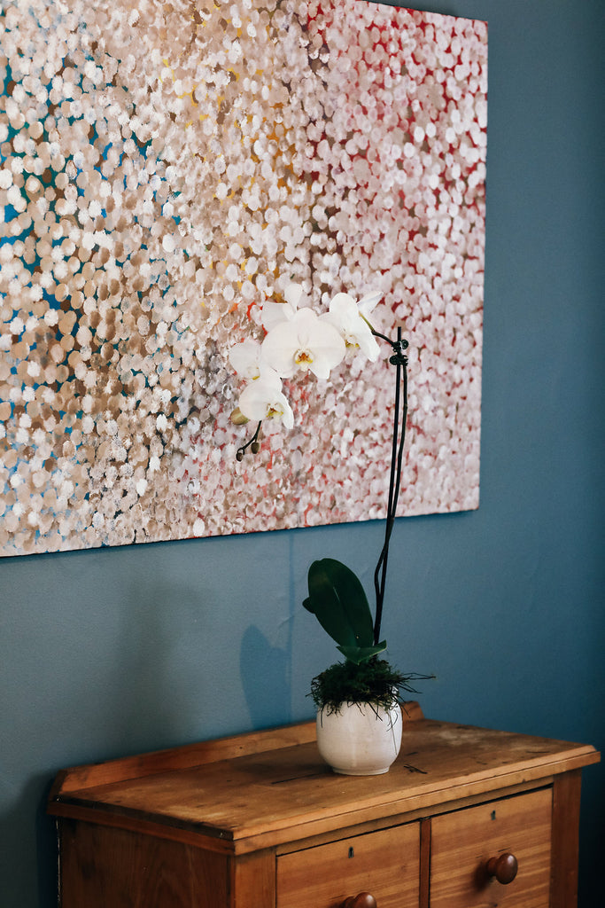 At Home Collection –Floreat